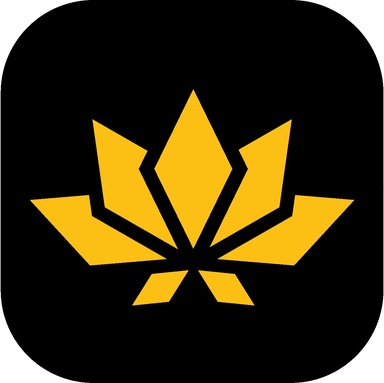 PassMent - ОптоVIK